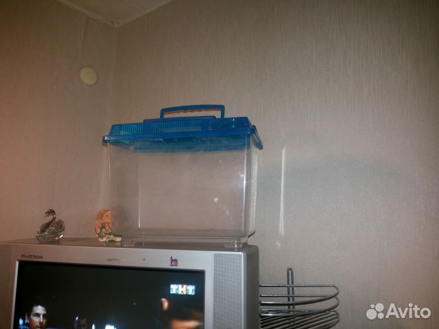 Аквариум переносной