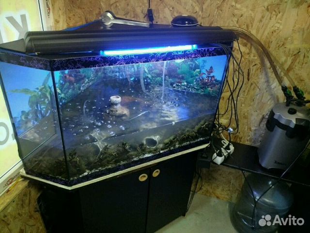 Аквариум