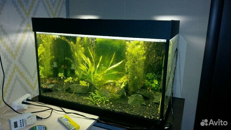 Аквариум Aqua Plus Pro 170 л. Комплект. Тумба