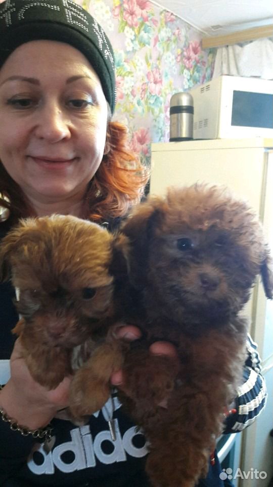 Редкая красота