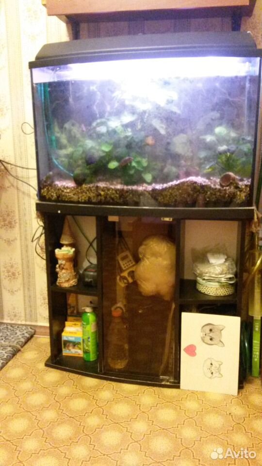Аквариум панорамный 100л + тумба + принадлежности