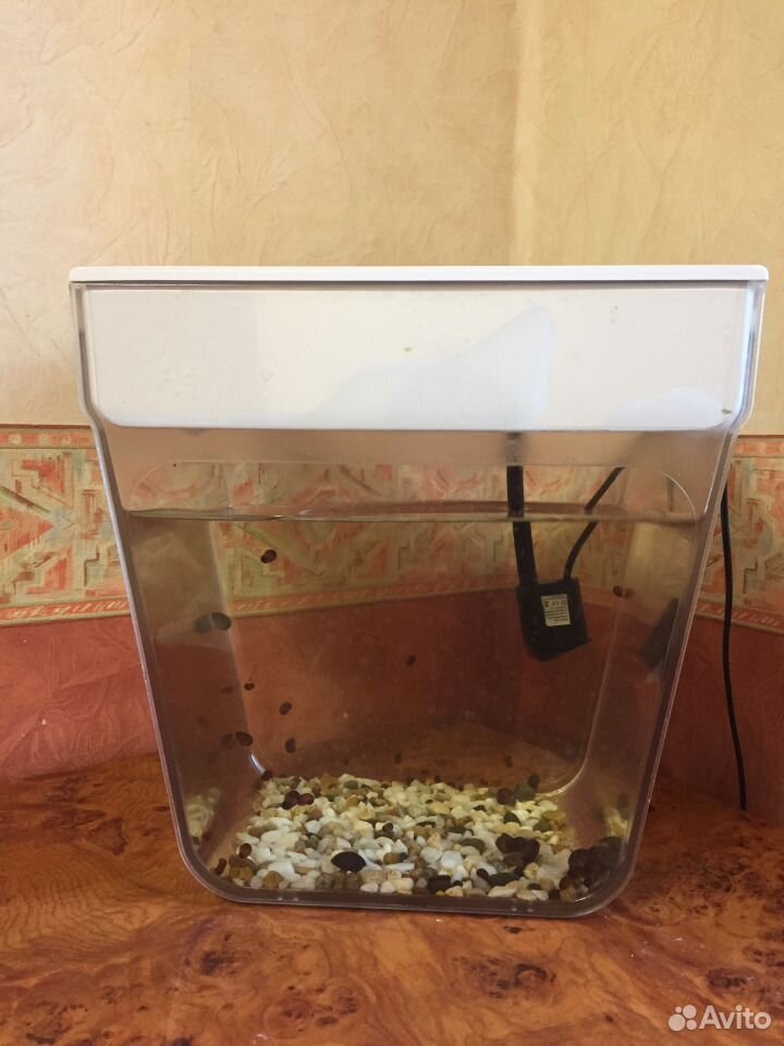 Акваферма AquaFarm