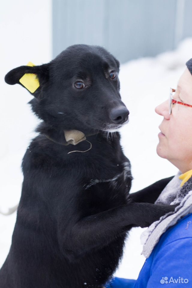 Мальчишка в приюте