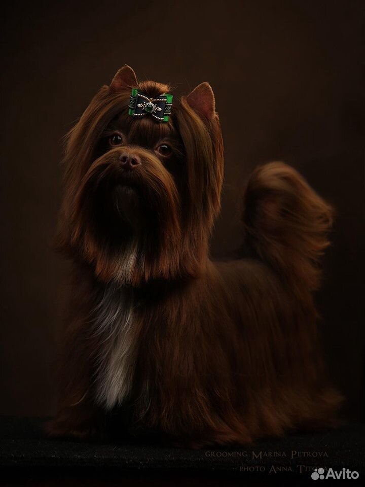 Открыт для вязок