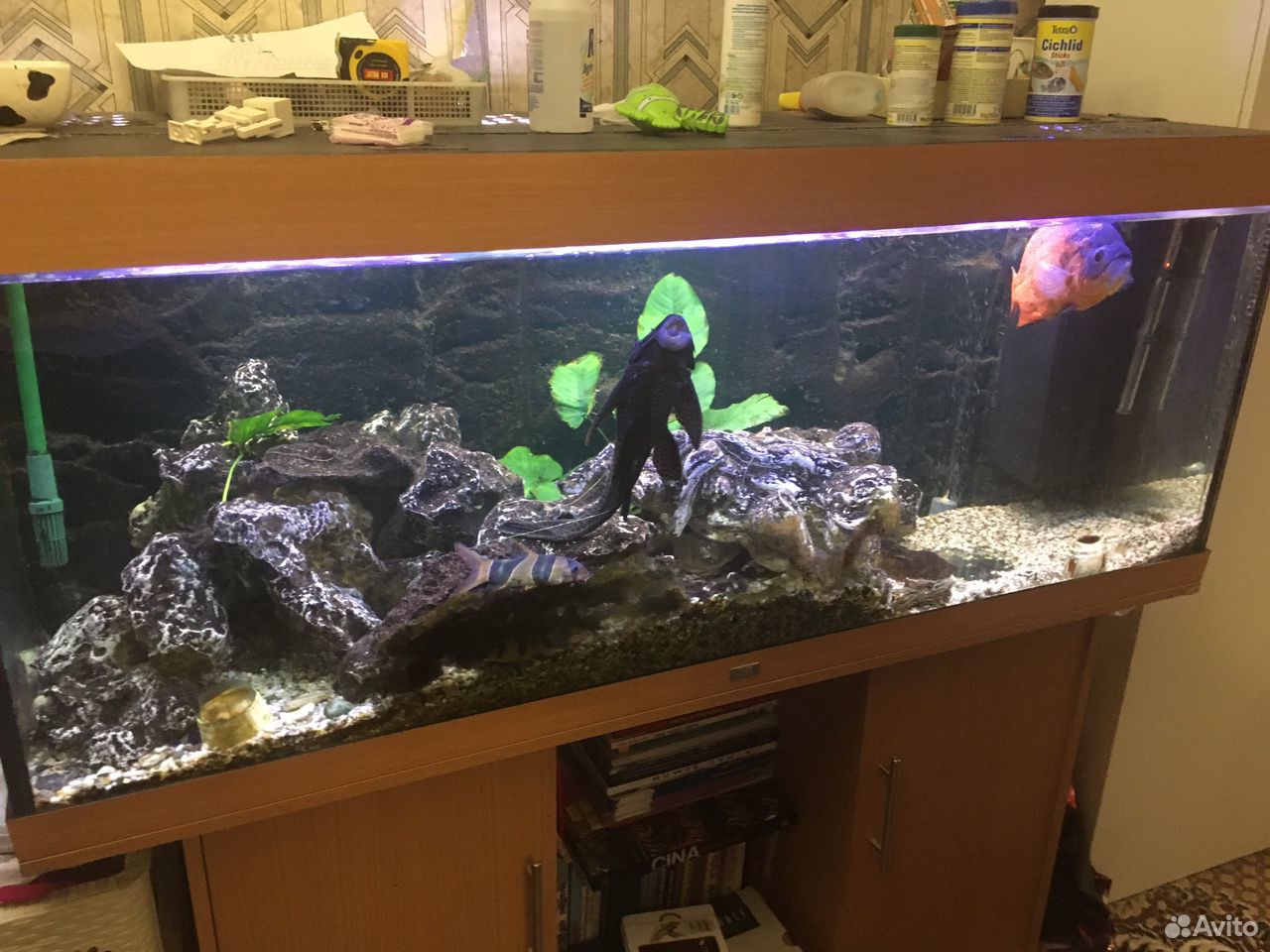 Аквариум 450л