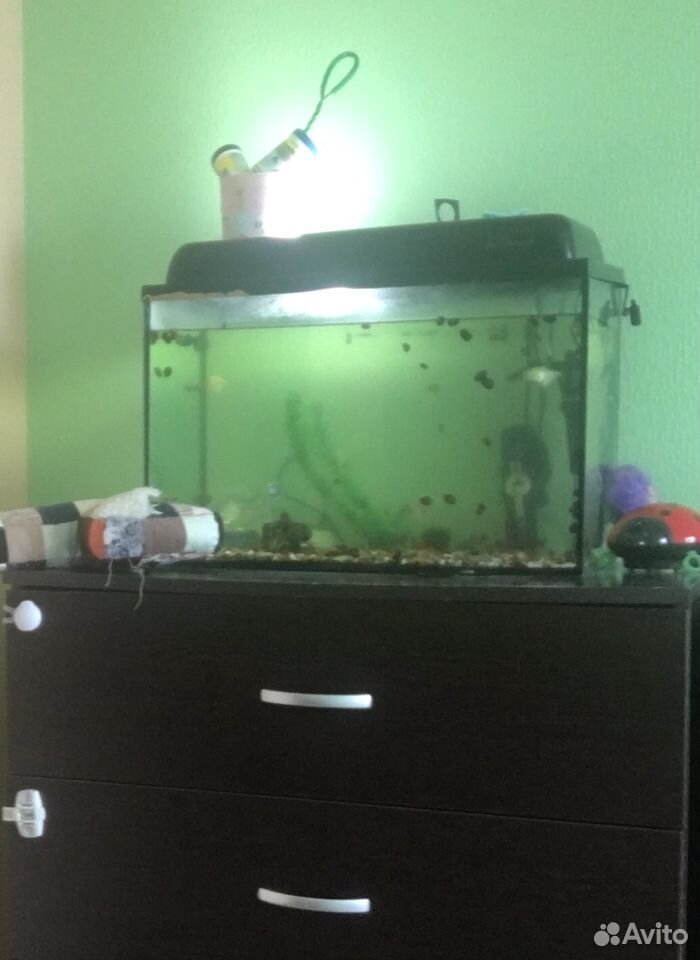 Аквариум