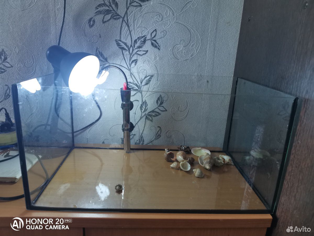 Терариум для черепах