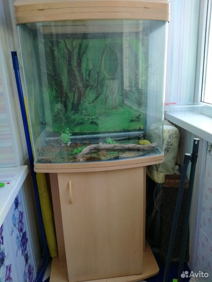 Аквариум