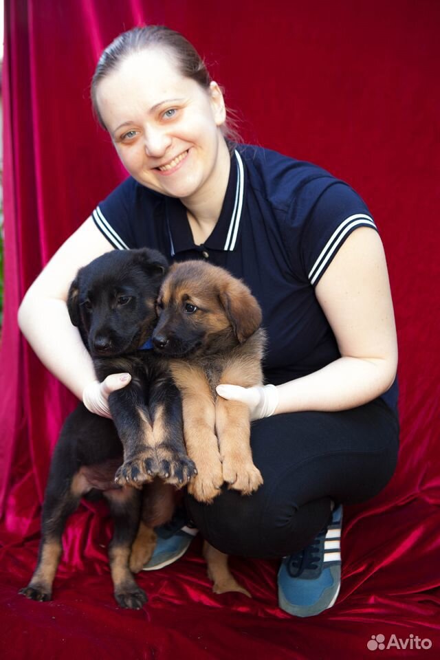 Малыши-крепыши в добрые руки 3 мес