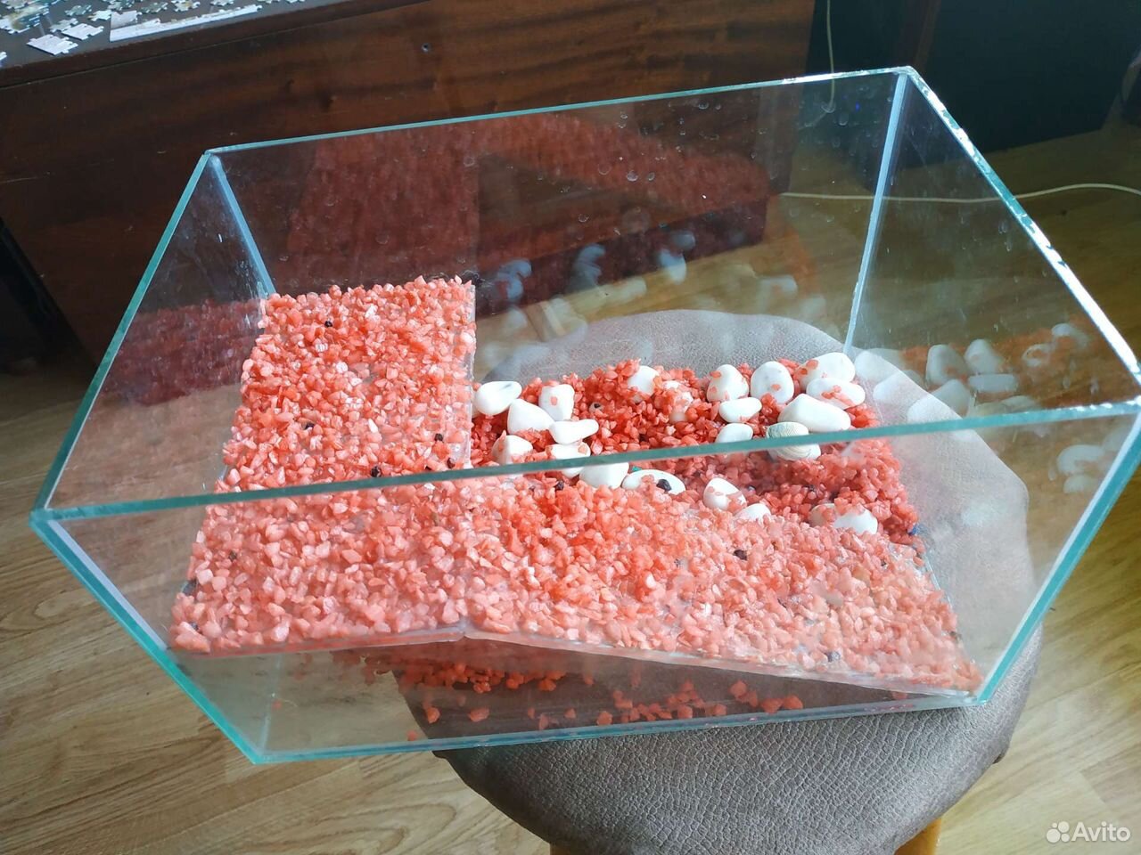 Черепашник