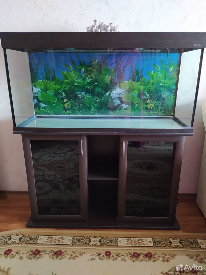 Аквариум