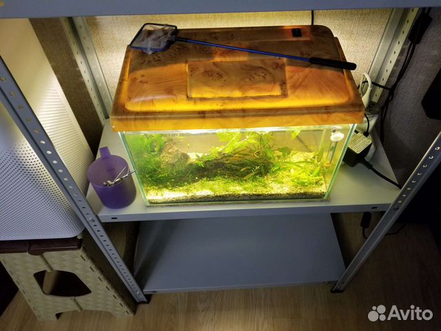 Аквариум 20 литров