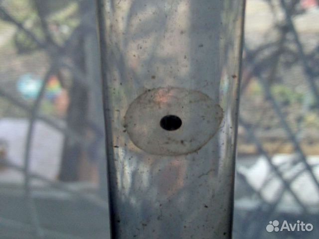 Икра лягушки