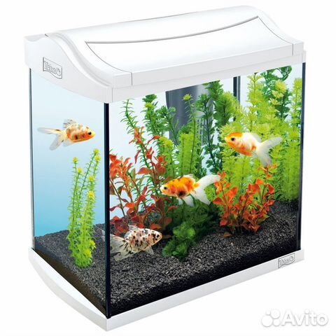 Аквариум Tetra на 30л, полный комплект