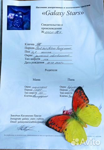 Сатиновая мышь