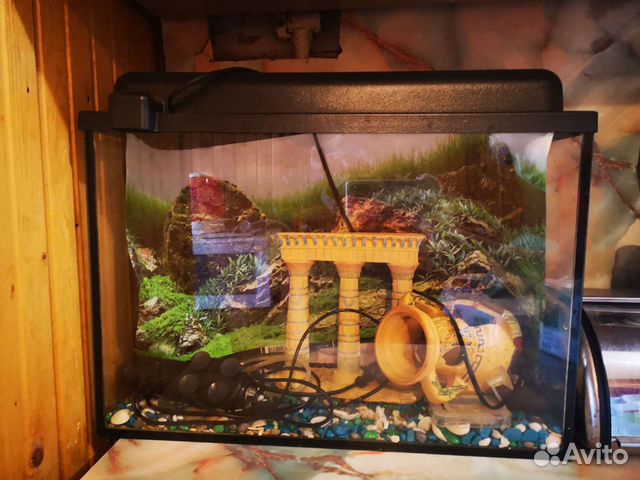 Аквариум 20л