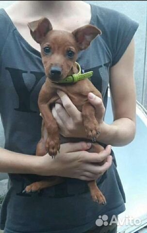 Ждём супер родителей