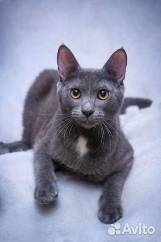 Бутч, 6 месяцев