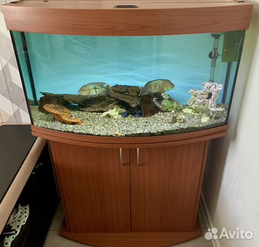 Аквариум с тумбой