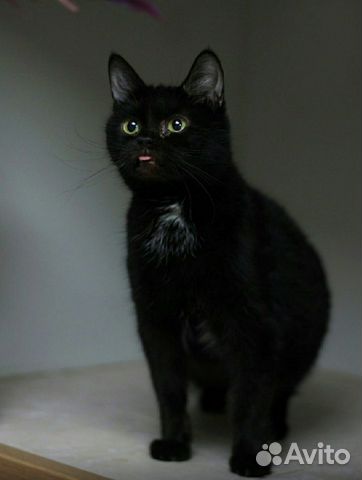 А вдруг случится чудо и ее заметят.Нэнси ждет