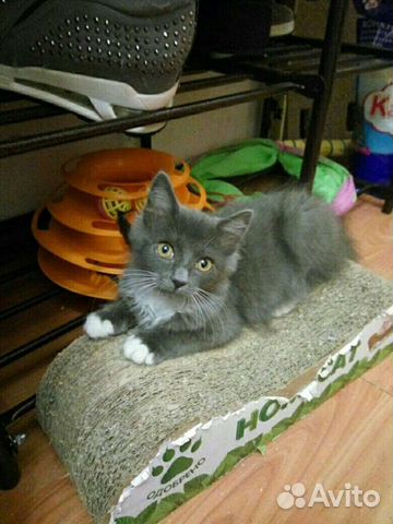 Ласковая малышка