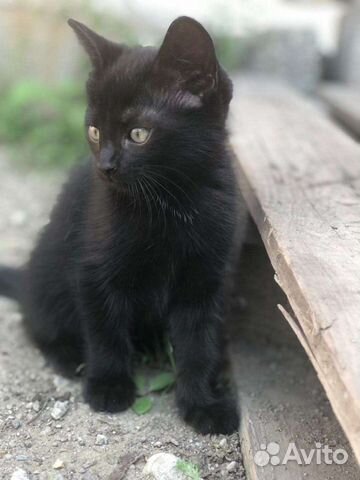 Весёлые ребята