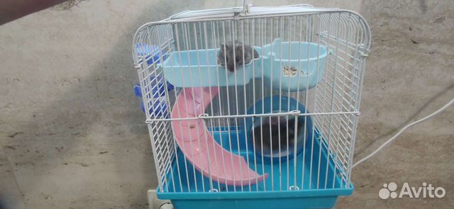 Отдам в добрые руки