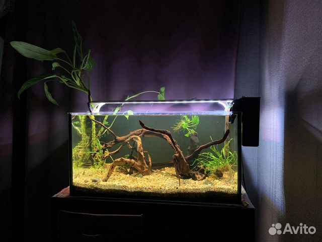 Аквариум 60х30х30 54литра с оборудованием