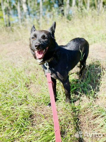 Малыш Каспер с ужасом ждет зиму