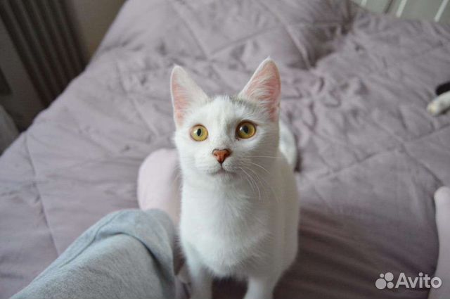 Умка - маленькая принцесса ищет дом и семью. Игрун