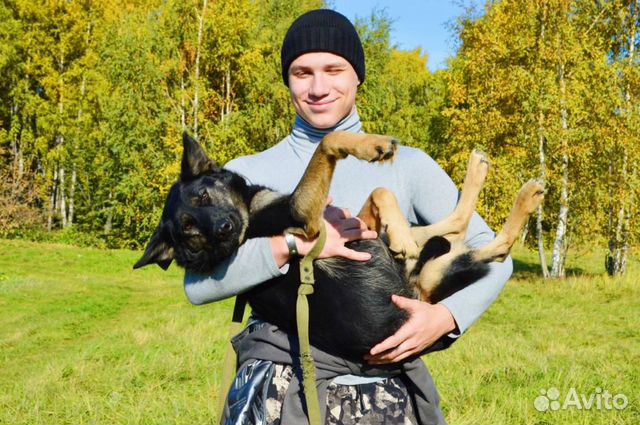 Спасите Лютика