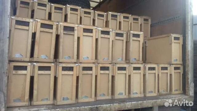 Пчелопакеты "Бакфаст" и "Карника"