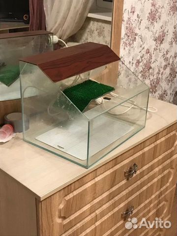 Черепашатник