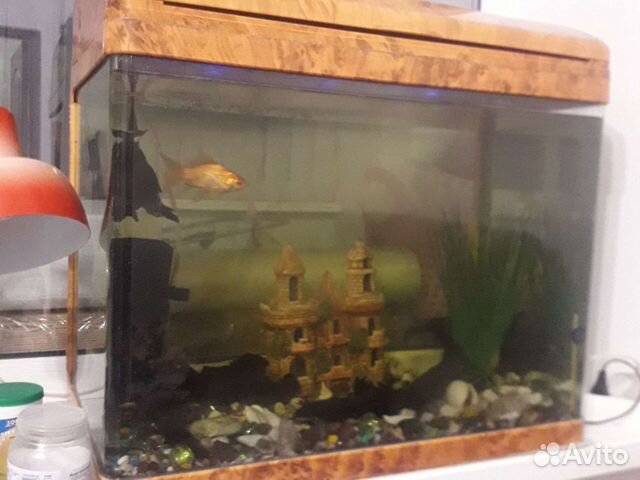 Аквариум