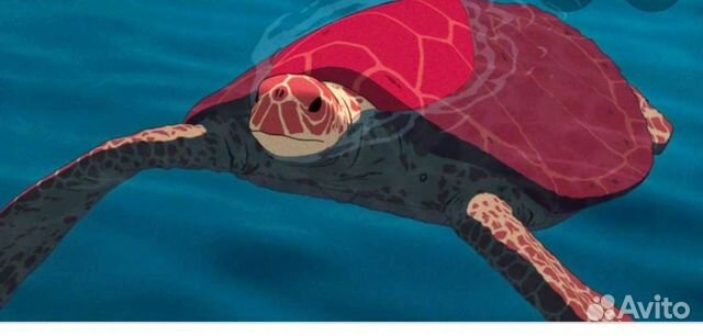 Красноухая черепаха с аквариумом