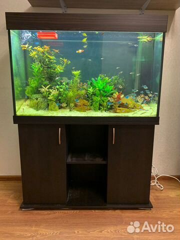Аквариум аквас 250 л. (101x41x69 см.) с тумбой