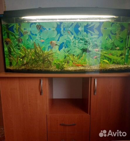 Аквариум с тумбой