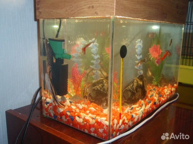 Аквариум 20л с подсветкой вместе с рыбками