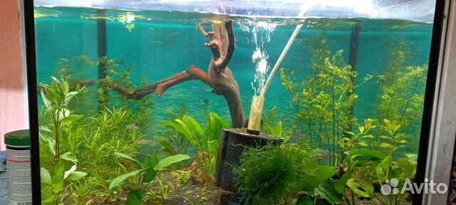 Аквариум