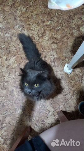 Ищем невесту