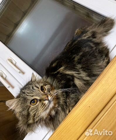 Самая ласковая Сибирячка