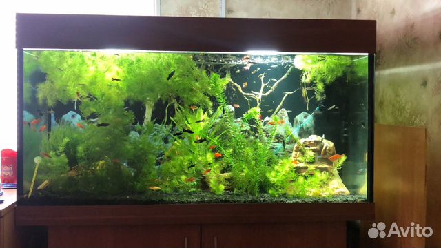 Украшение для аквариума