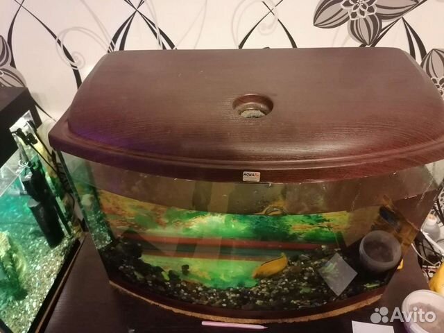 Аквариум aquaplus 70л