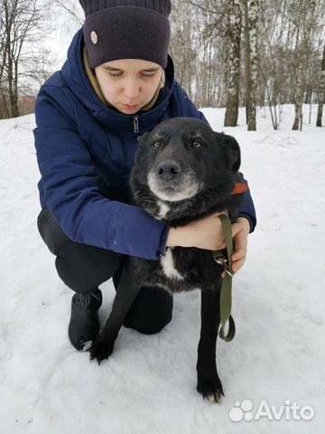 Нежный Бакс очень хочет быть любимым