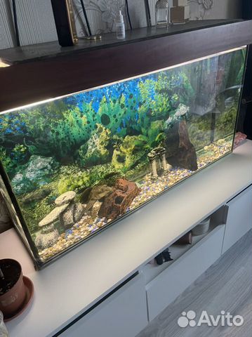 Аквариум 120 литров с рыбой