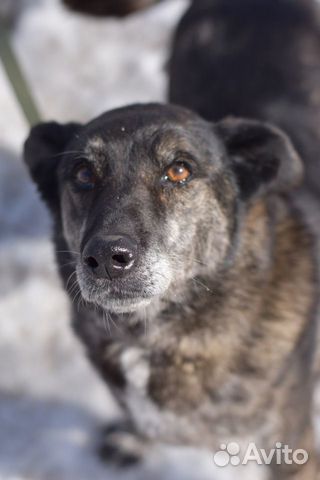 Пожалуйста забери меня из приюта