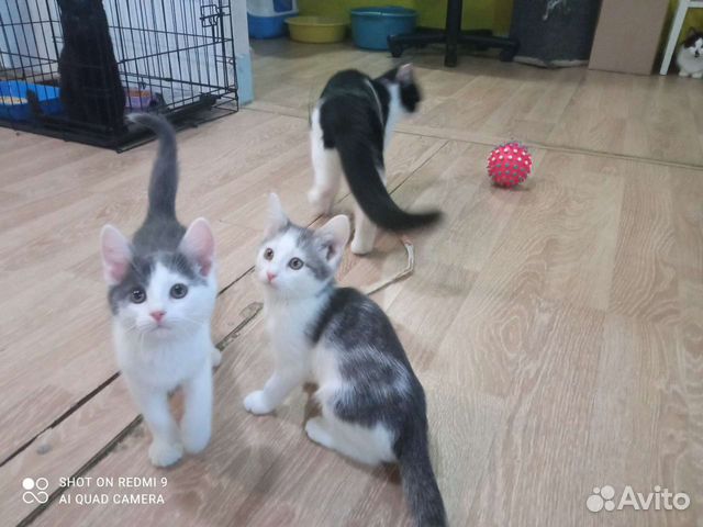 Малыши карандаши в добрые руки