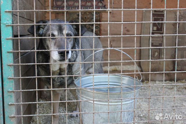 Вся жизнь проходит за решёткой