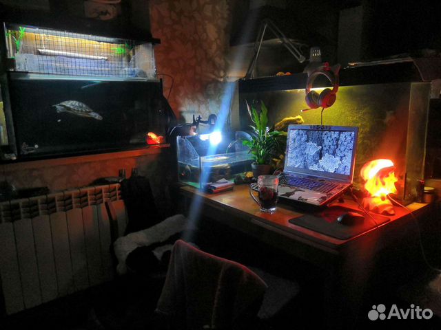 Аквариум