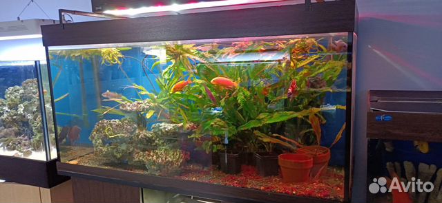 Аквариум б/у Биодизайн Атолл 400 с тумбой